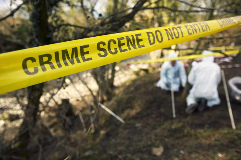 Plettenberg Bay couple found murdered on farm, South Africans horrified