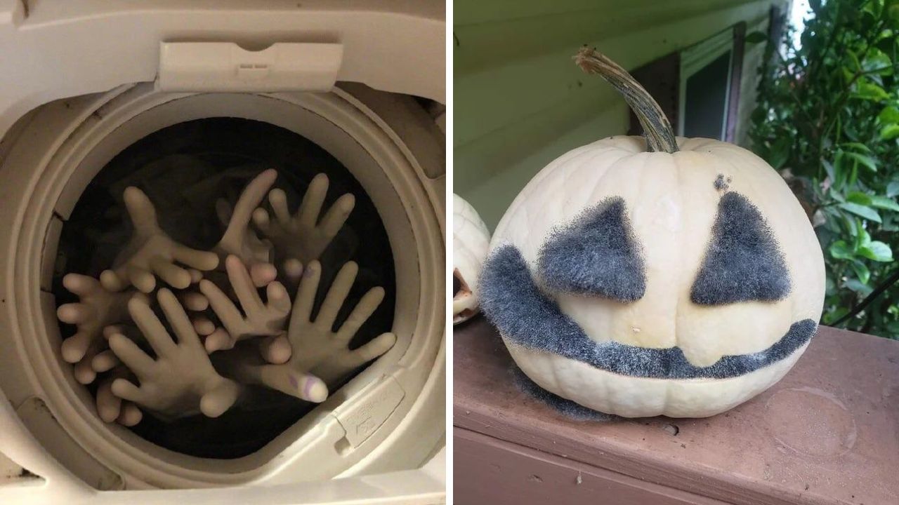 32 unsettling moments people captured on camera