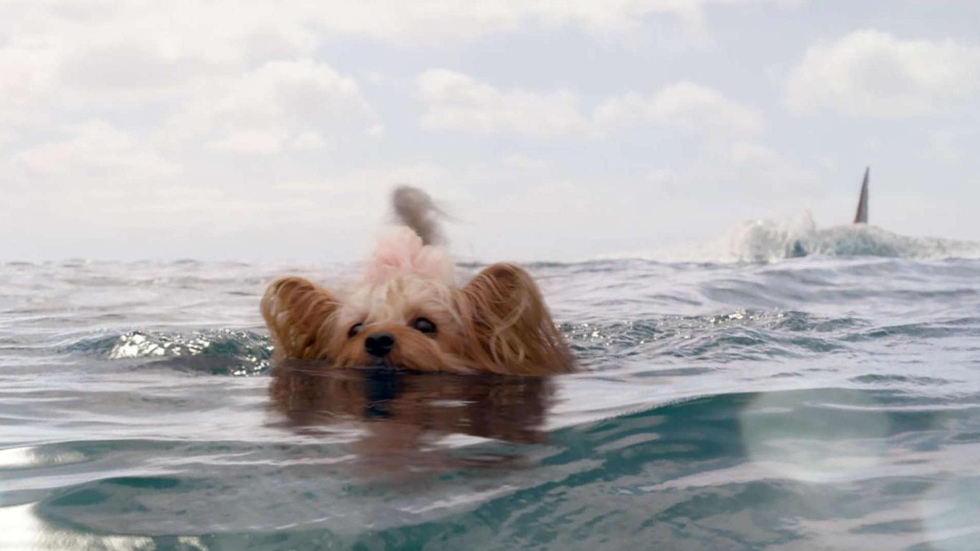 The worst films set in water