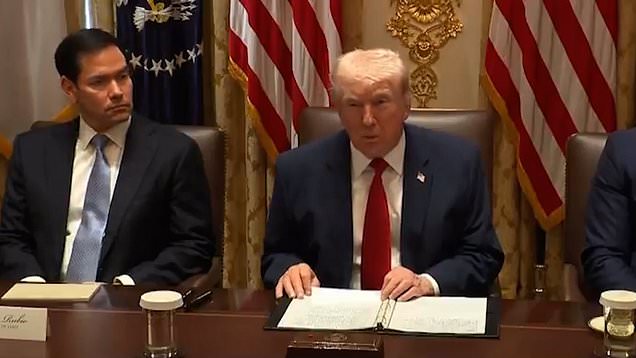 Trump: British aircraft carriers are 'toys' compared to US