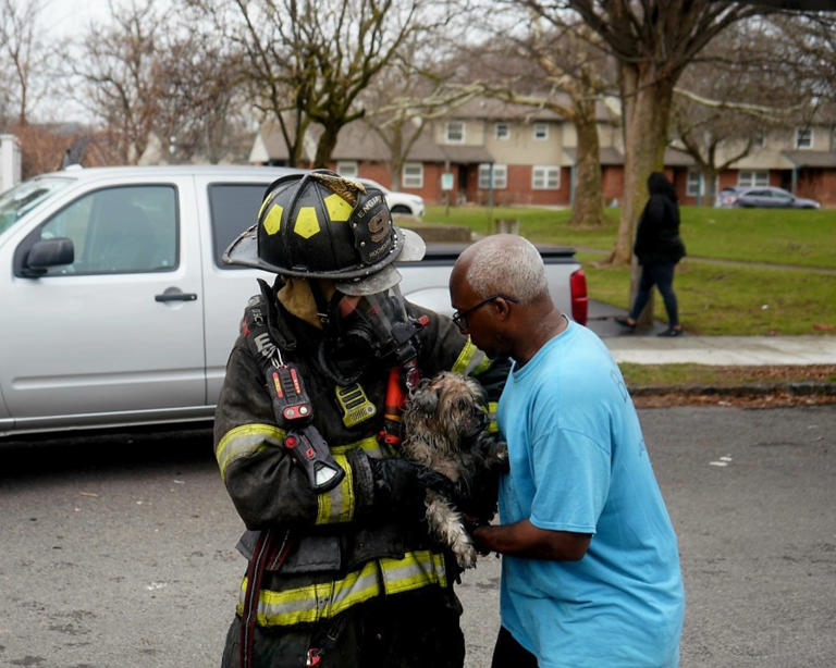 One dog rescued, another dies in Quamina Drive fire