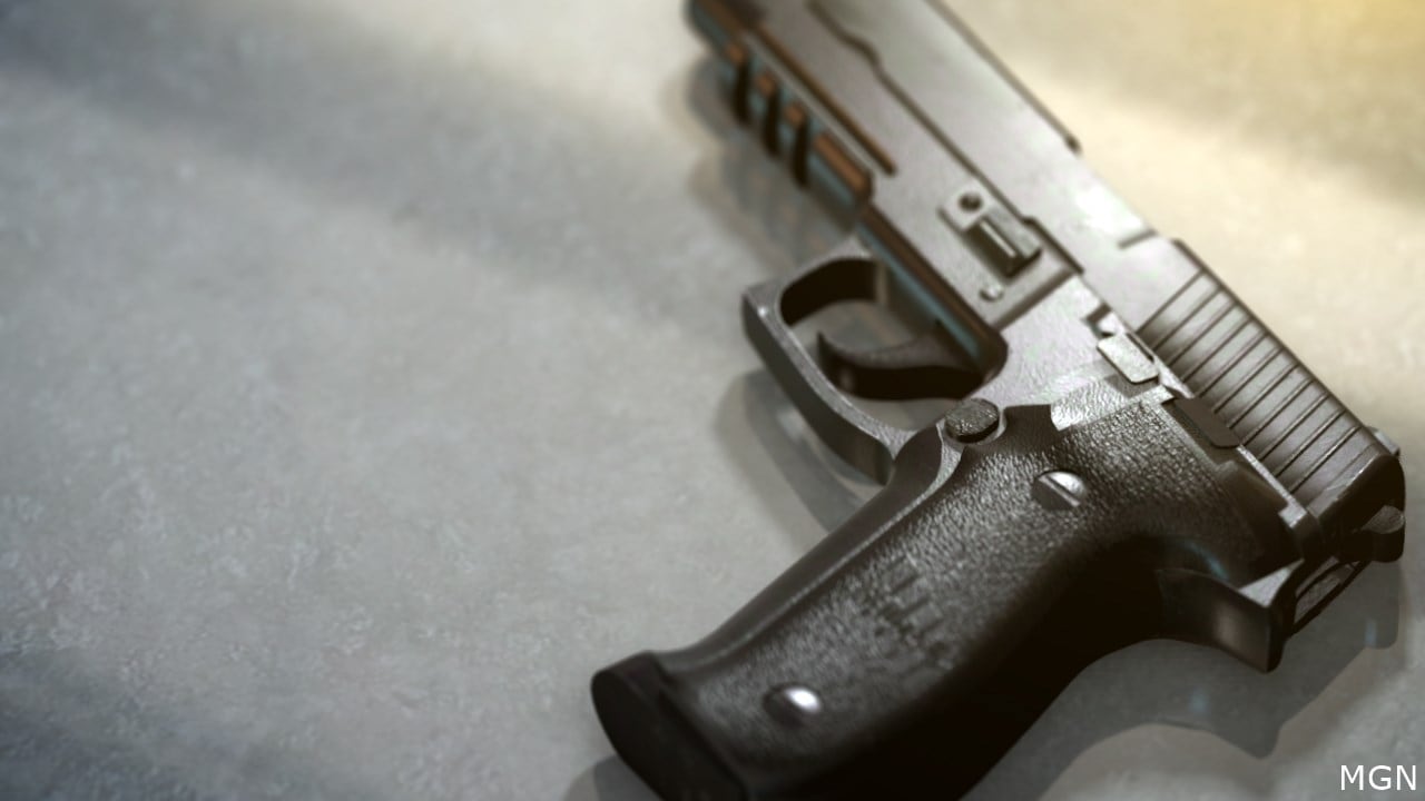 2 elementary students found with guns in their backpacks in unrelated ...