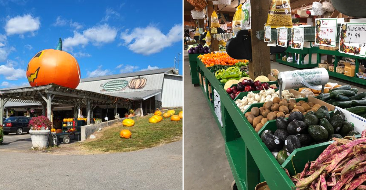 This Georgia farm market is a fruit-filled paradise where the harvest ...