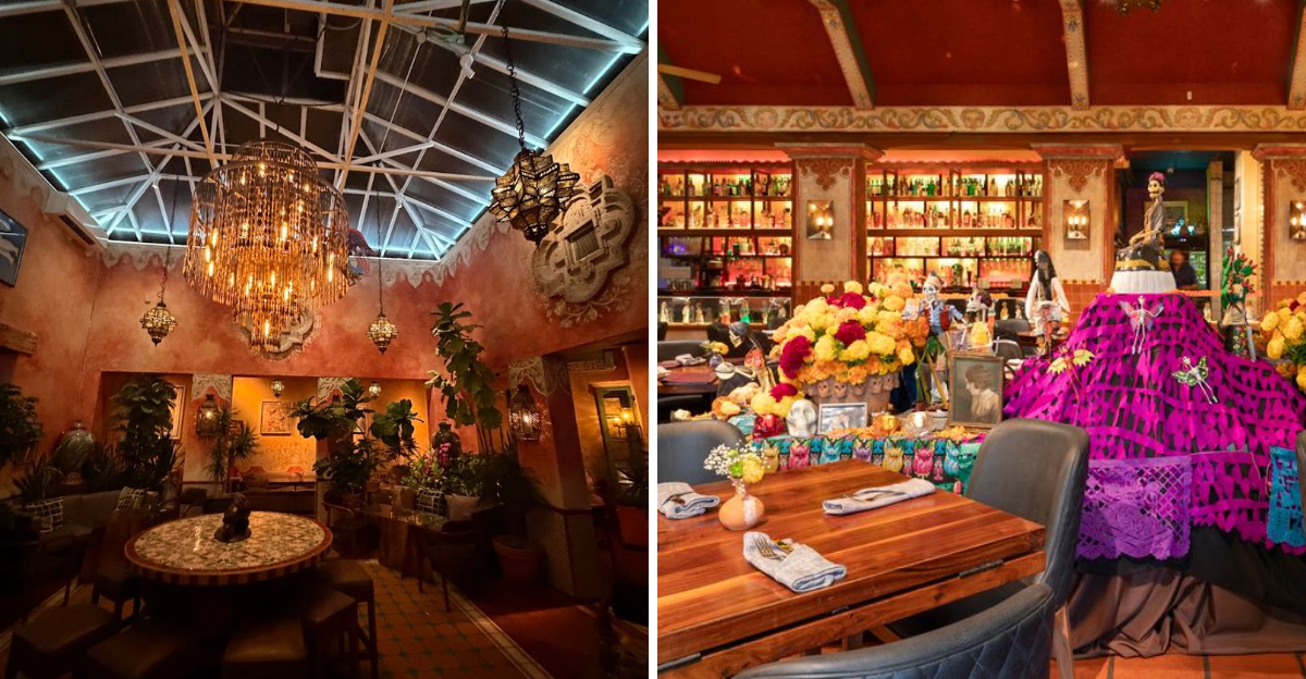 A vibrant Texas restaurant where bold Mexican flavors meet colorful ...