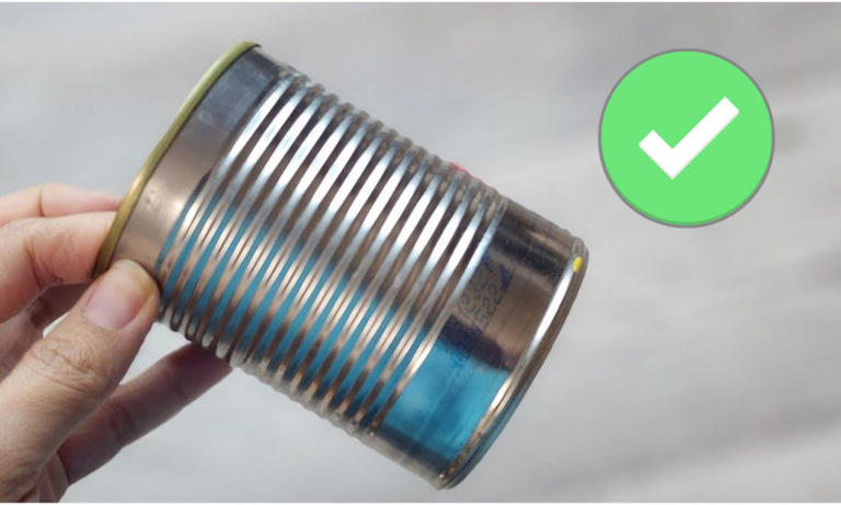 Si tienes latas viejas de chiles, posees un tesoro: conoce las 3 ideas ...