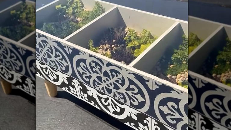 Give an old bookcase a new life as a stunning upcycled succulent garden