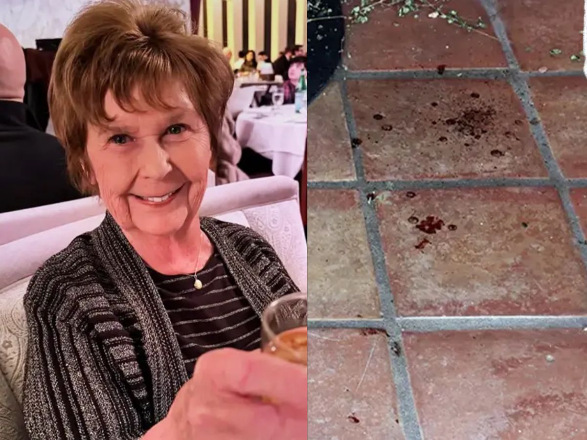 Nancy Guthrie case latest update: Blood evidence inside home raises new ...