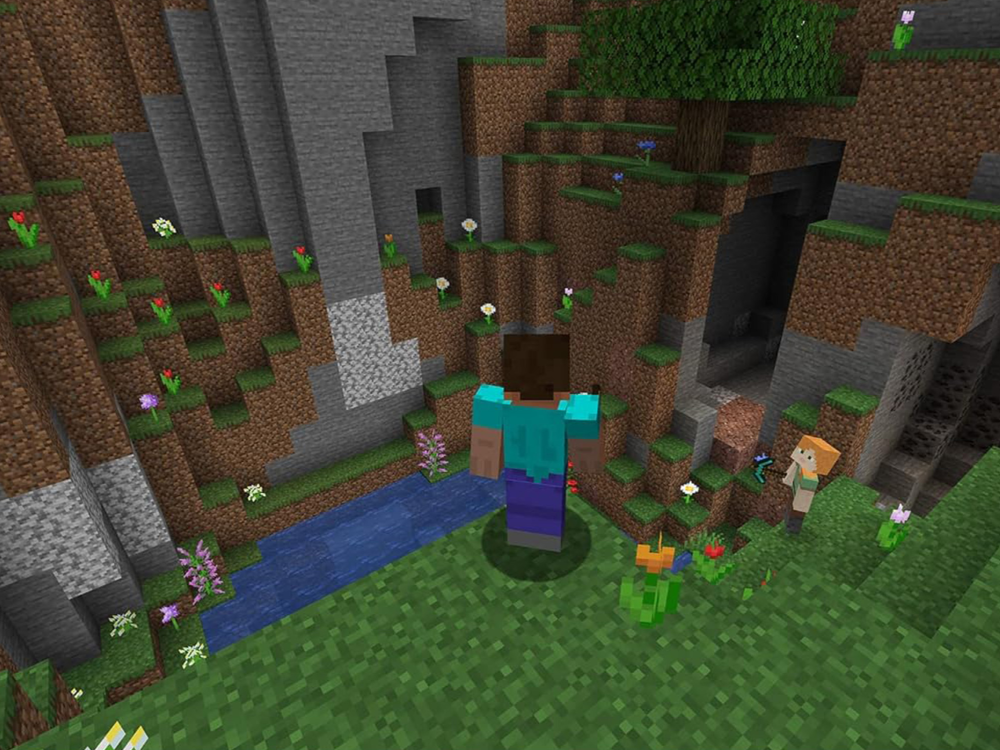 Get both Java & Bedrock Minecraft versions on sale