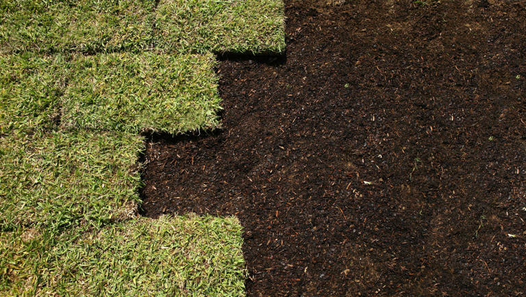 When to lay sod for the best results