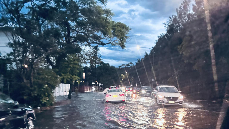 Severe storm causes thousands of power outages and hundreds calls for ...