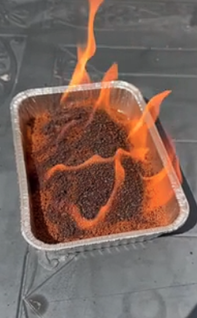 Stop bugs fast, powerful DIY repellent for your plants