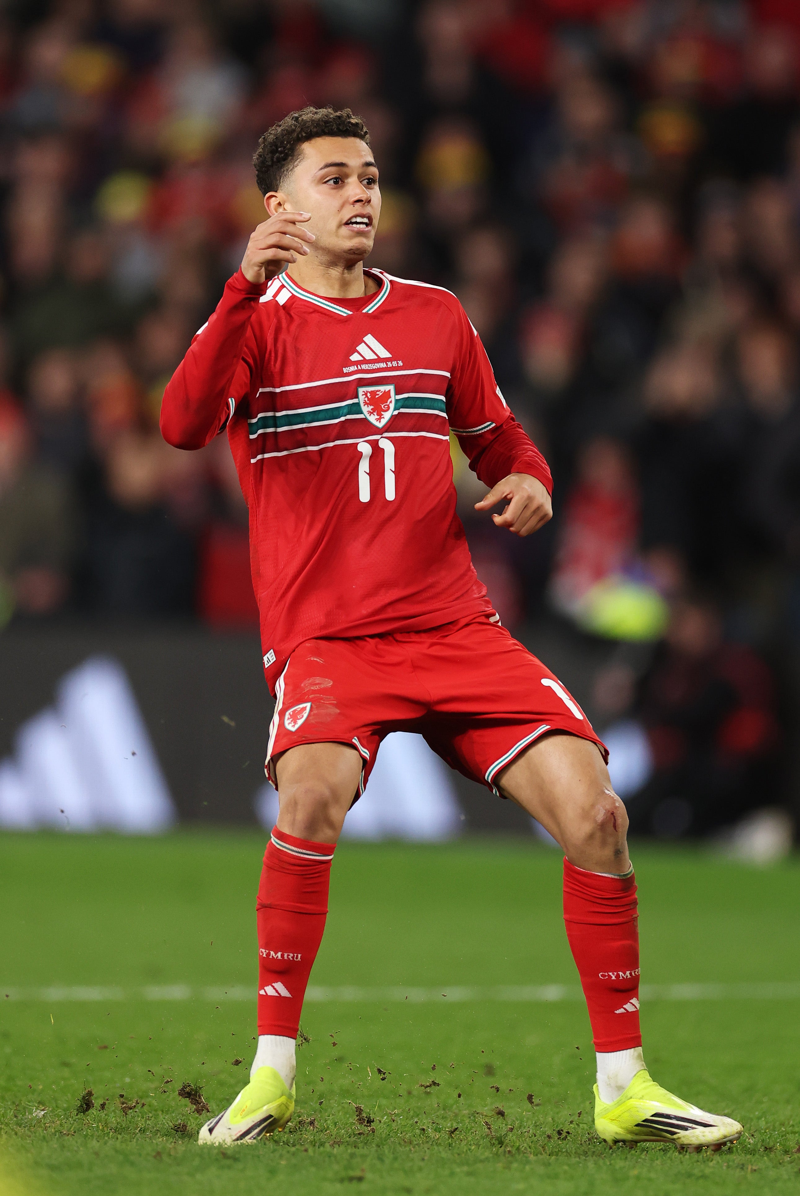 Bellamy gives update on future after devastating World Cup defeat