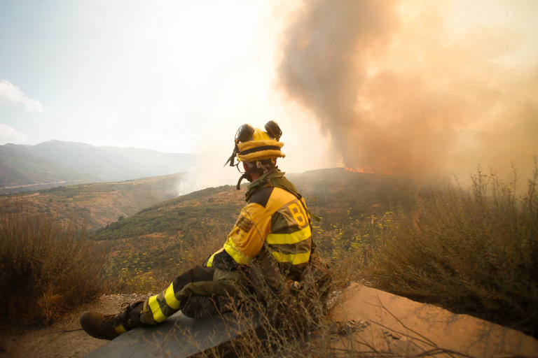 La Junta de CyL declara peligro medio de incendios forestales del 27 ...