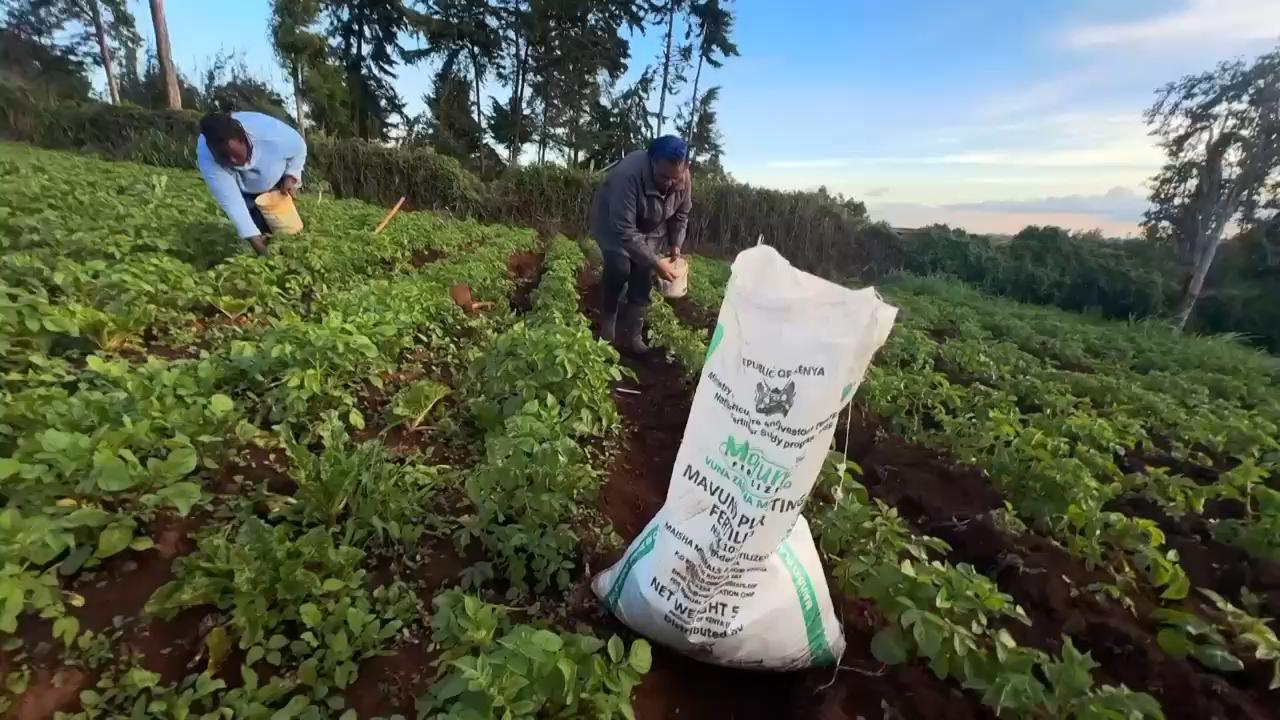 The war in Iran sparks a global fertilizer shortage and threatens food ...