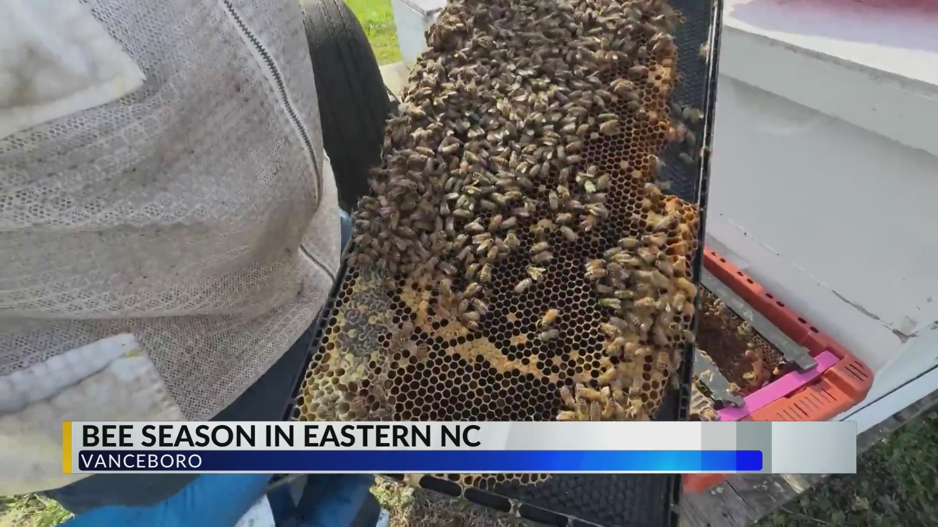 Pop Pop's Bee's Buzzes Back in Eastern North Carolina Despite Setbacks