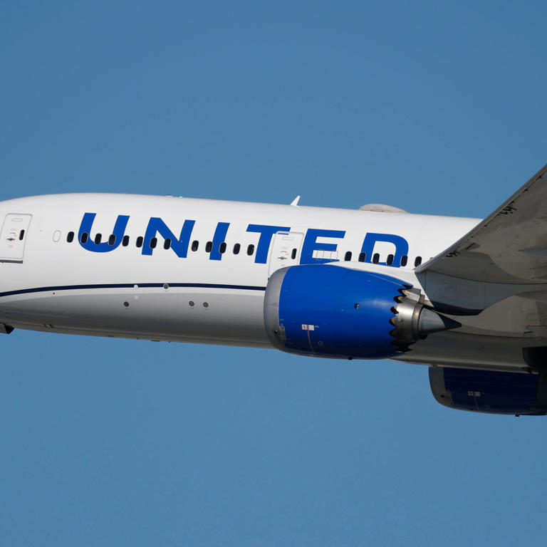 Scare at 36,000 feet: Passenger tried to open door mid-flight, pilot says