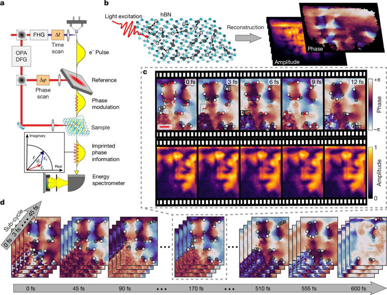 Novel measurement confirms a 50-year-old prediction: Dark points are ...