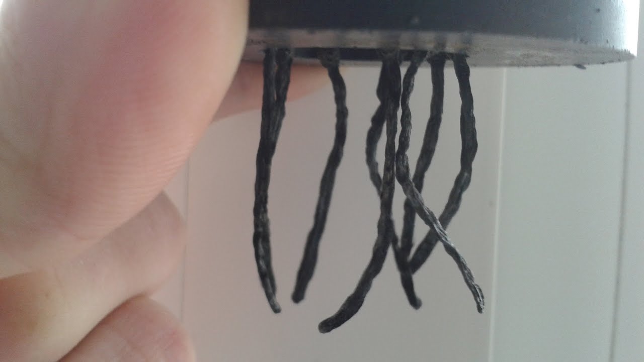 Burnt matchsticks show surprising magnetic powers! DIY science demo