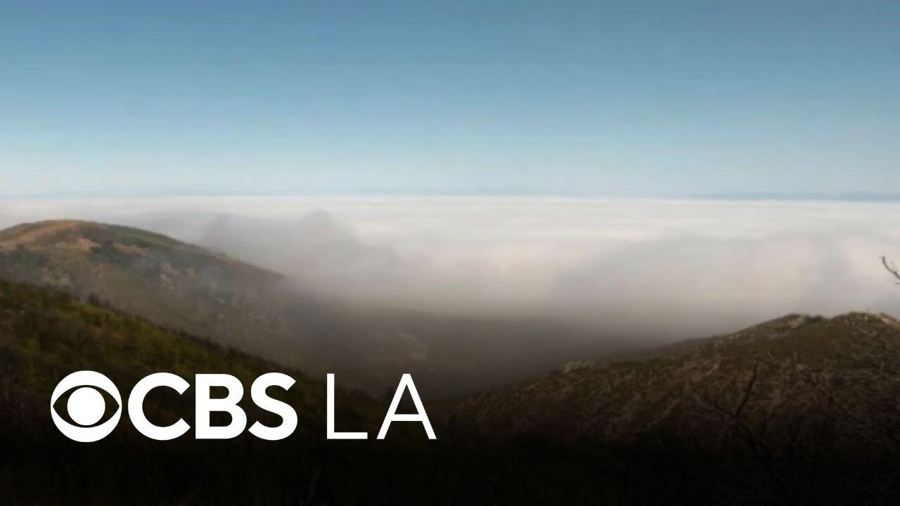 Disappearing marine layer | Climate Minute