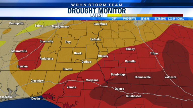Burn ban issued: Alabama officials warn of dangerous wildfire conditions