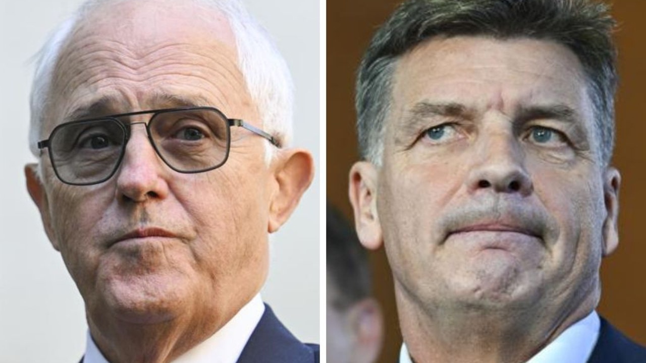Liberals 'chasing One Nation' down 'populist burrow': Turnbull