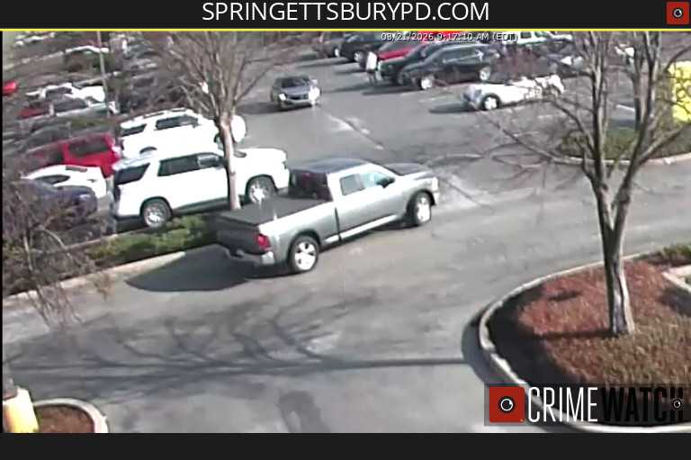 Police in Springettsbury Township seeking driver of pickup truck ...