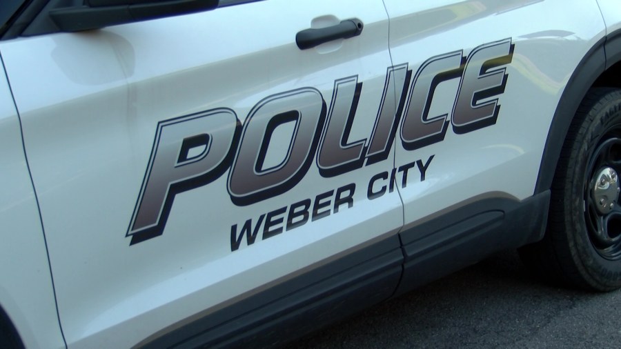 ‘Actually, we have no officers:’ Weber City leaders fire police chief ...