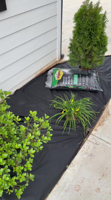 How a simple garden bed renovation transformed our yard