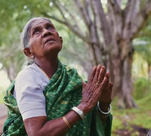 The story of a poor woman who planted 384 banyan trees along a highway ...