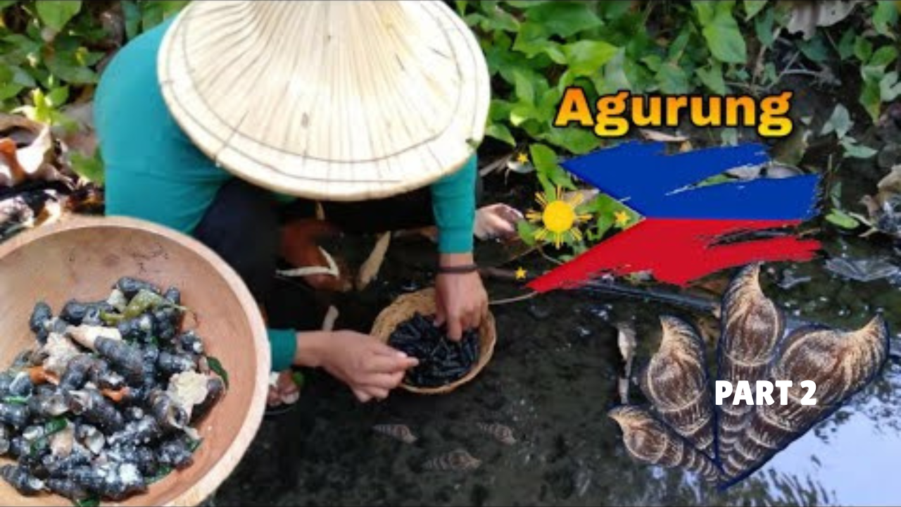 This unique Filipino snail dish cooked in coconut milk is a must see
