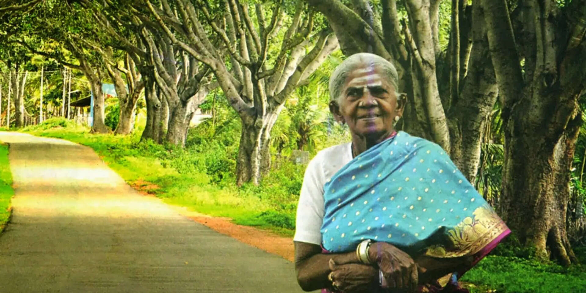 The story of a poor woman who planted 384 banyan trees along a highway ...