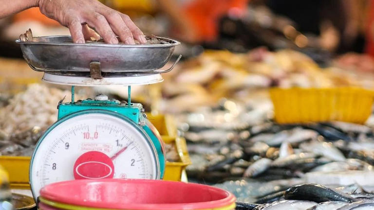 No price spike yet in Bicol food markets amid fuel crisis — DA