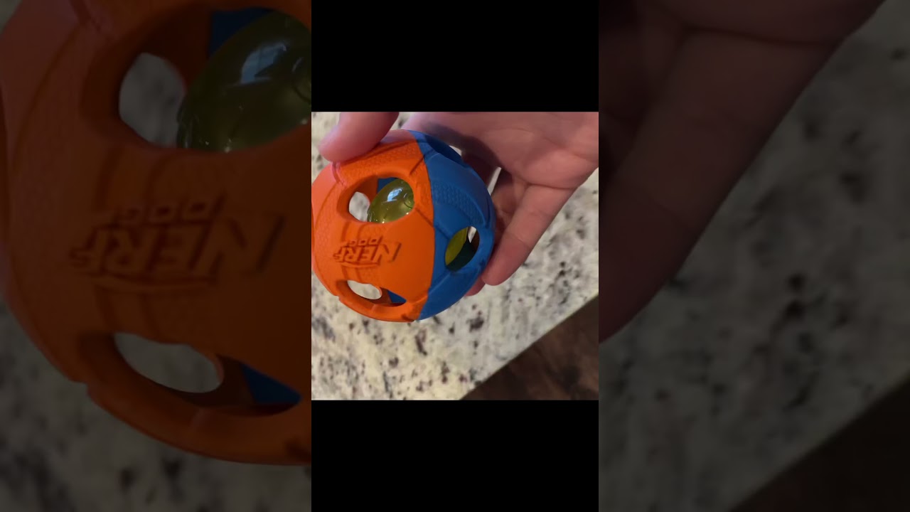 Nerf puppy (Rocky) toy review!