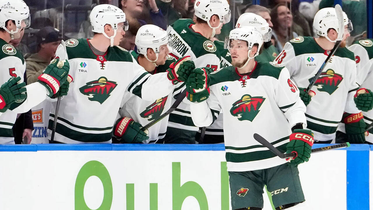 Minnesota Wild secures 3-2 victory over Florida Panthers with late goal