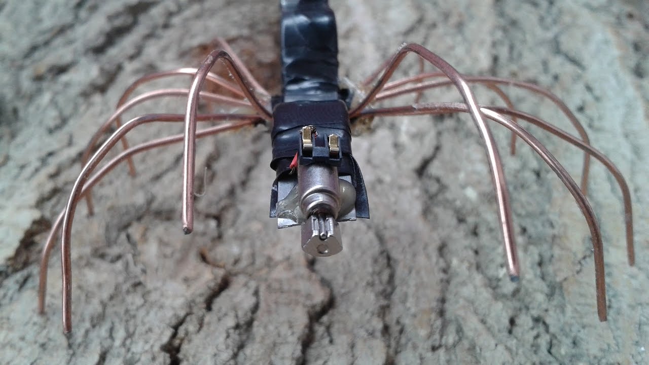 How to make a DIY vibrating spider robot with simple materials!