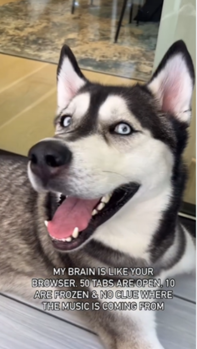 Lights are on, but nobody’s home. What happened here?