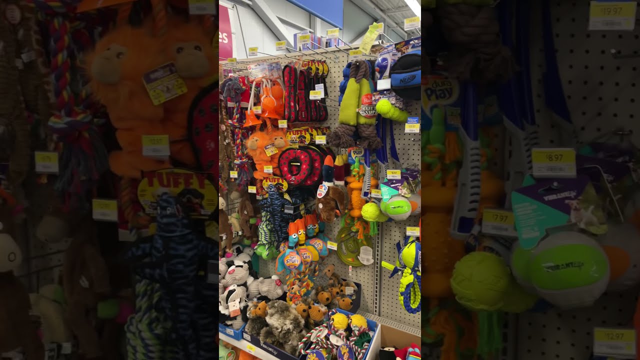 Shopping for Nerf puppy toys!