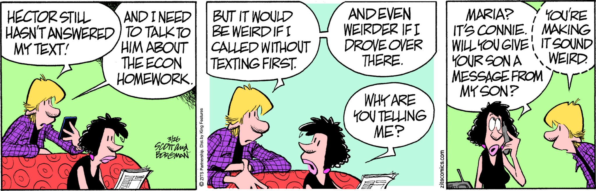 Zits by Jerry Scott and Jim Borgman
