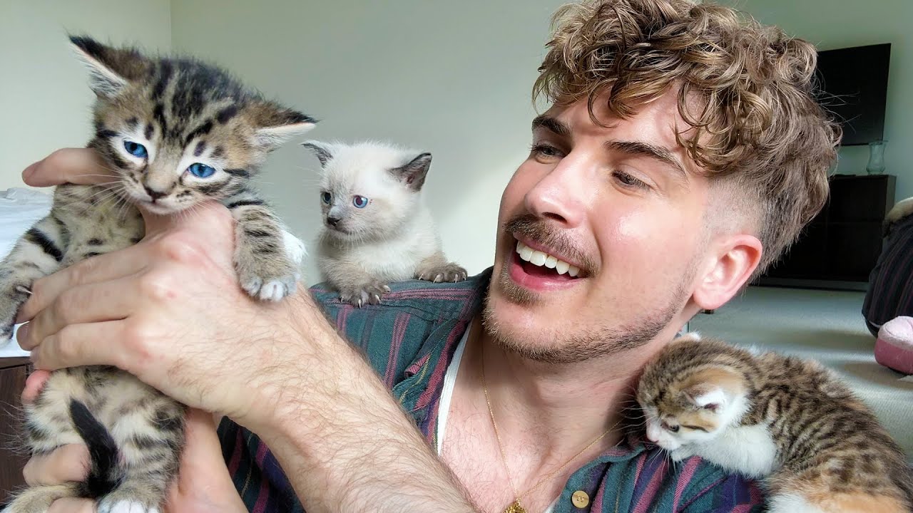 Tiny foster kittens receive creative and very unique names