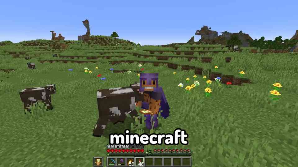 Transforming a hardcore world with custom biomes