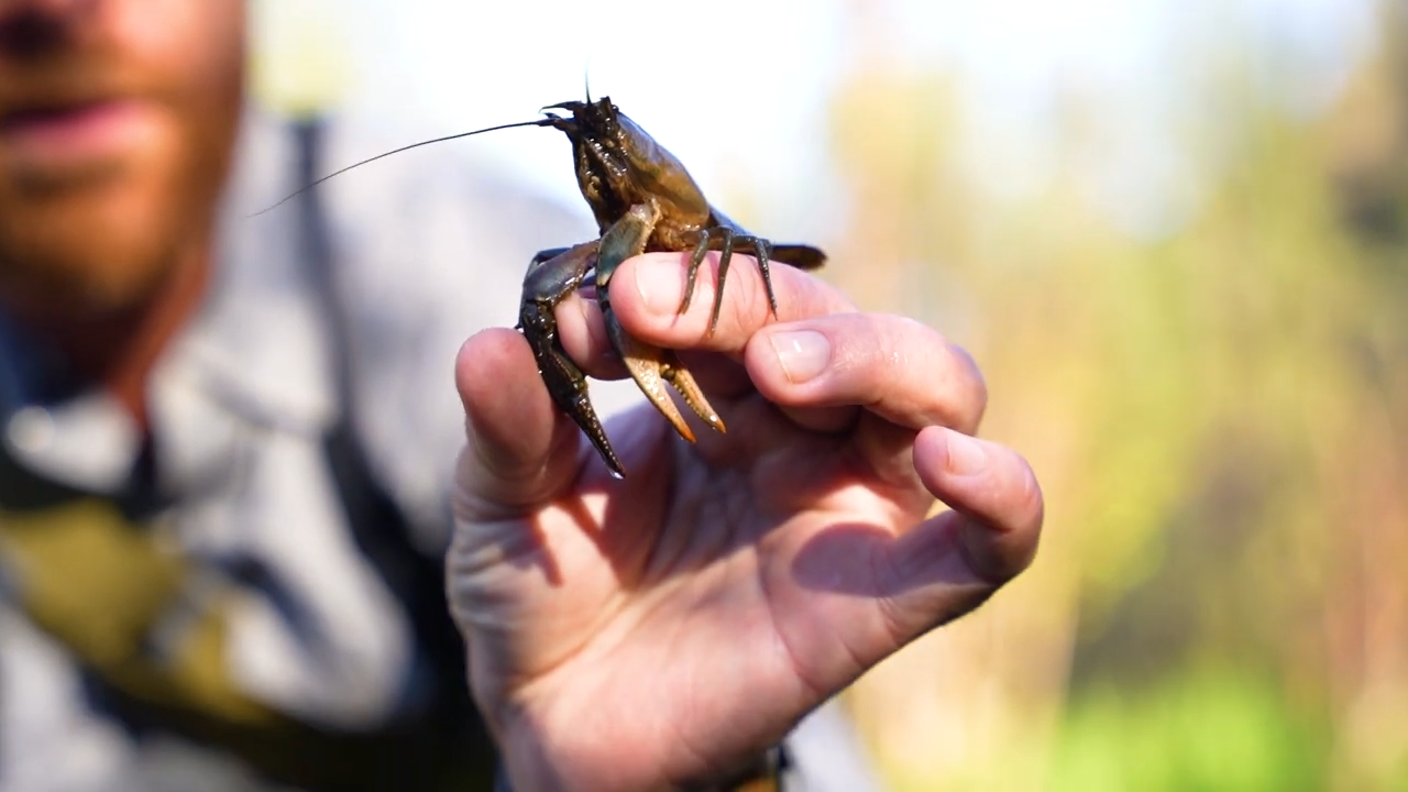 Watch how a simple fishing trip turns into a full-day survival test