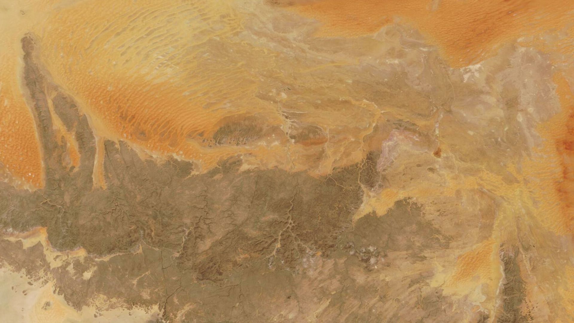 Rock art in the Sahara reveals unknown depictions of animals that haven ...