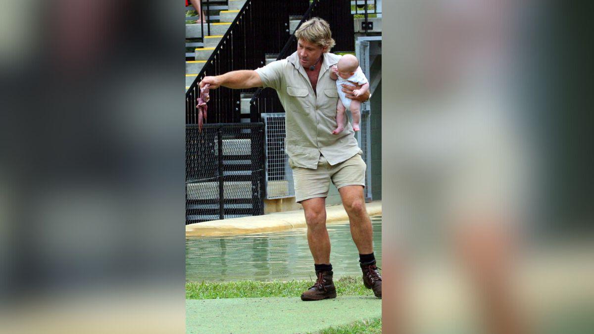 Grim secrets behind Steve Irwin's stingray death as fans gear up to ...