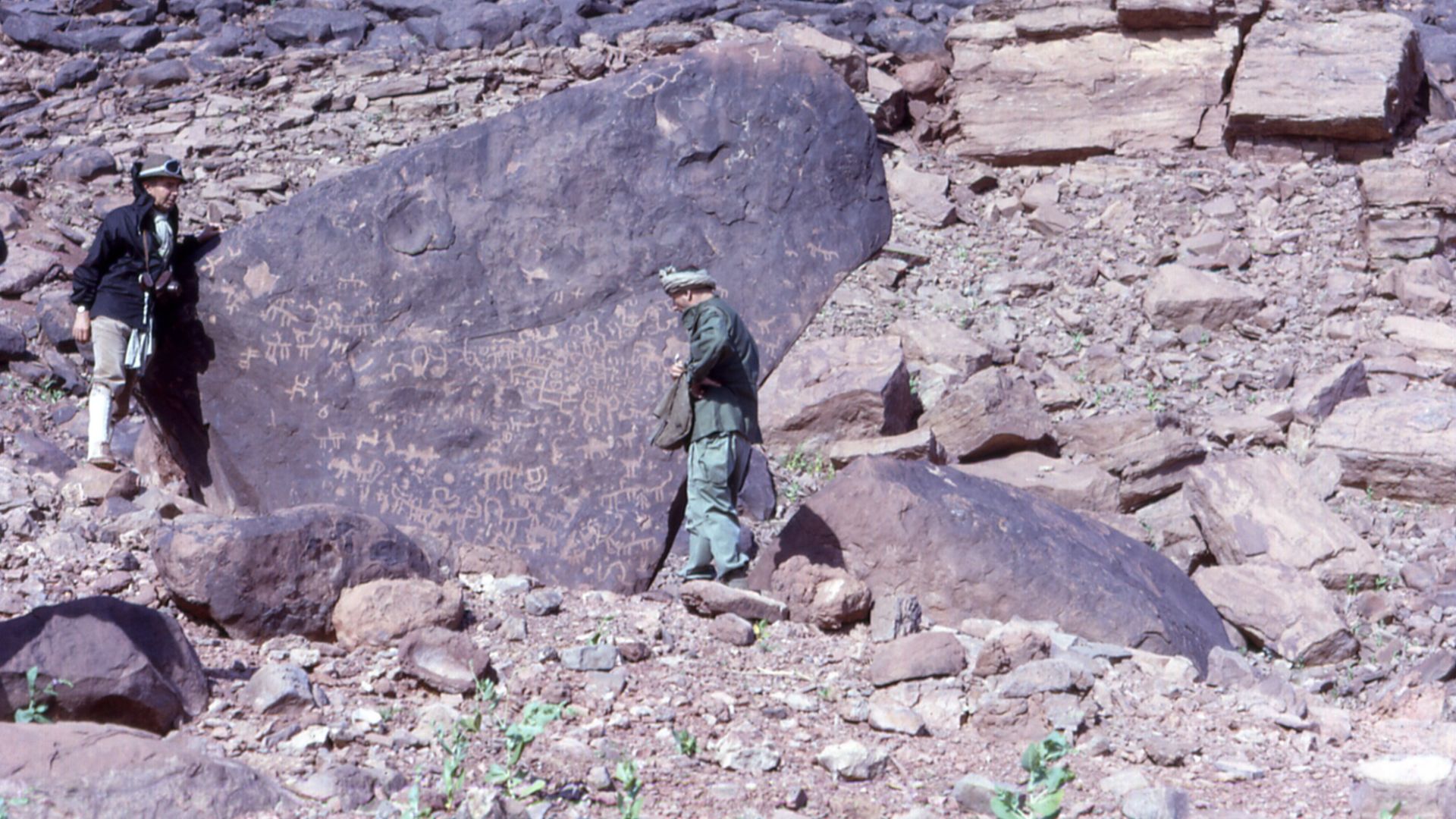 Rock art in the Sahara reveals unknown depictions of animals that haven ...