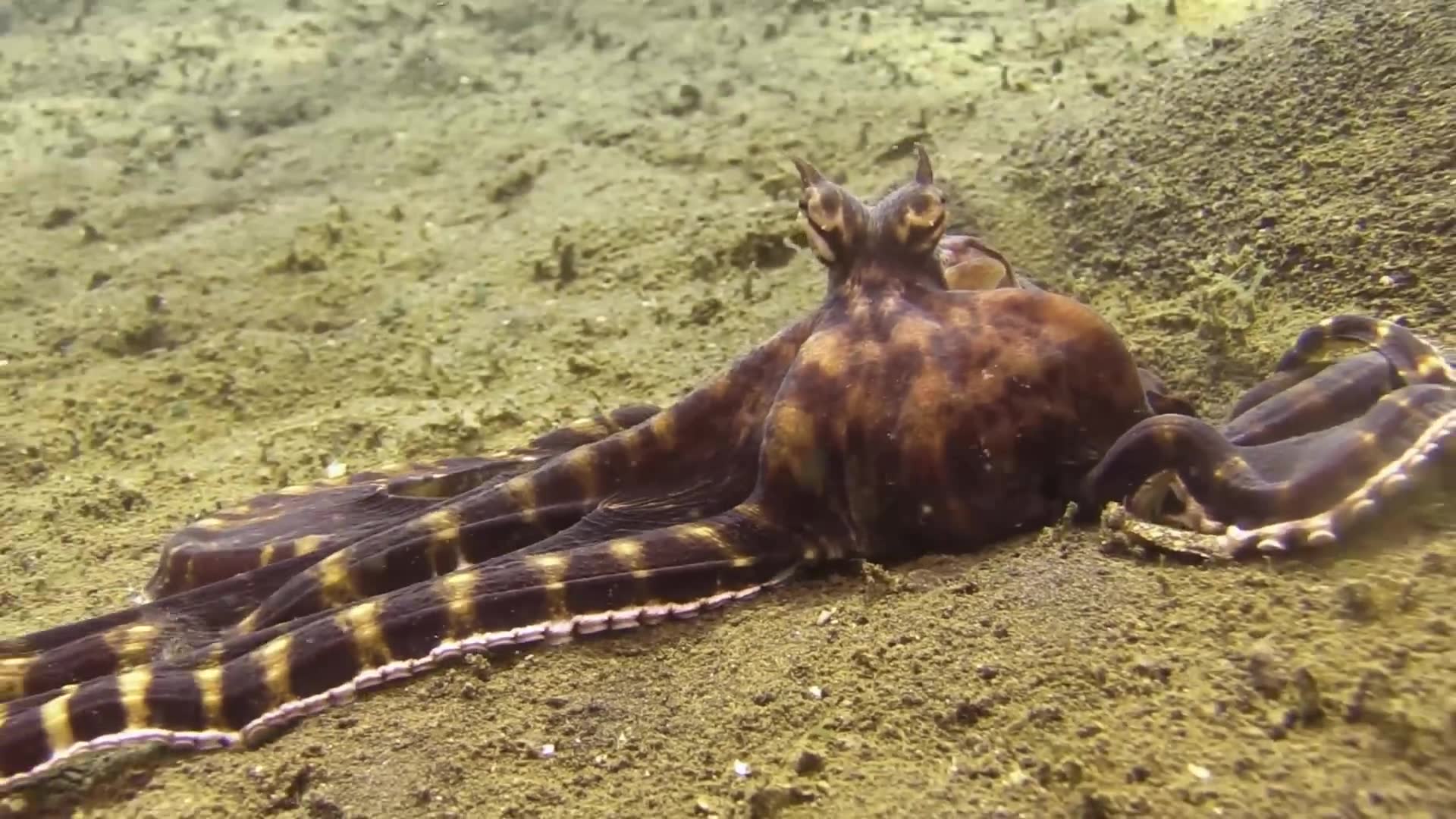 Biology facts that future generations might completely forget or never ...