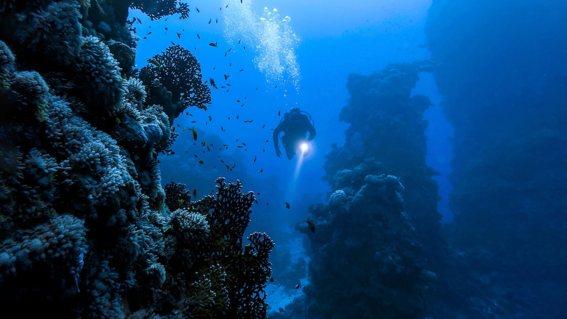 Ocean zones scientists avoid exploring