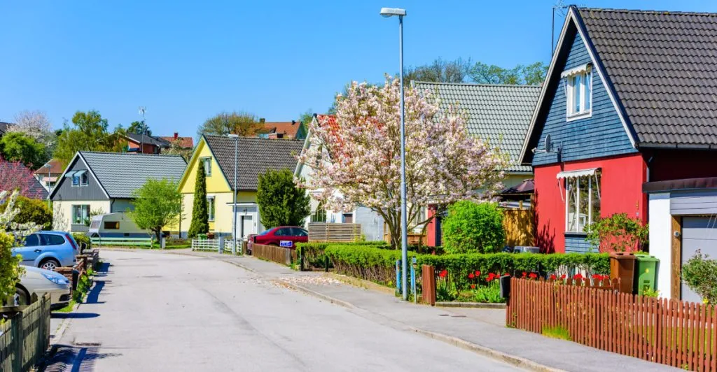 Getingsäsongen har börjat – därför bör husägare agera redan nu