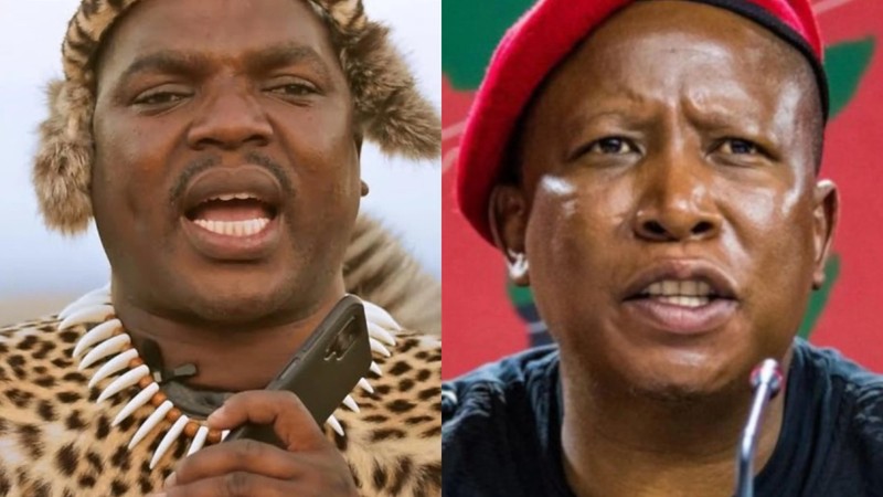 EFF slams Ngizwe Mchunu over 'tribalist' no-go area remarks in KZN