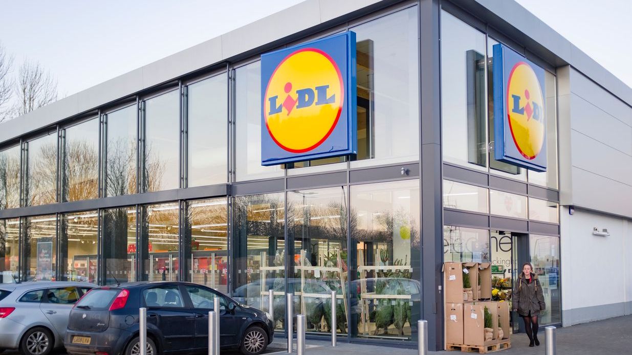 Lidl will sell plug-in solar panels to help Brits cut energy bills