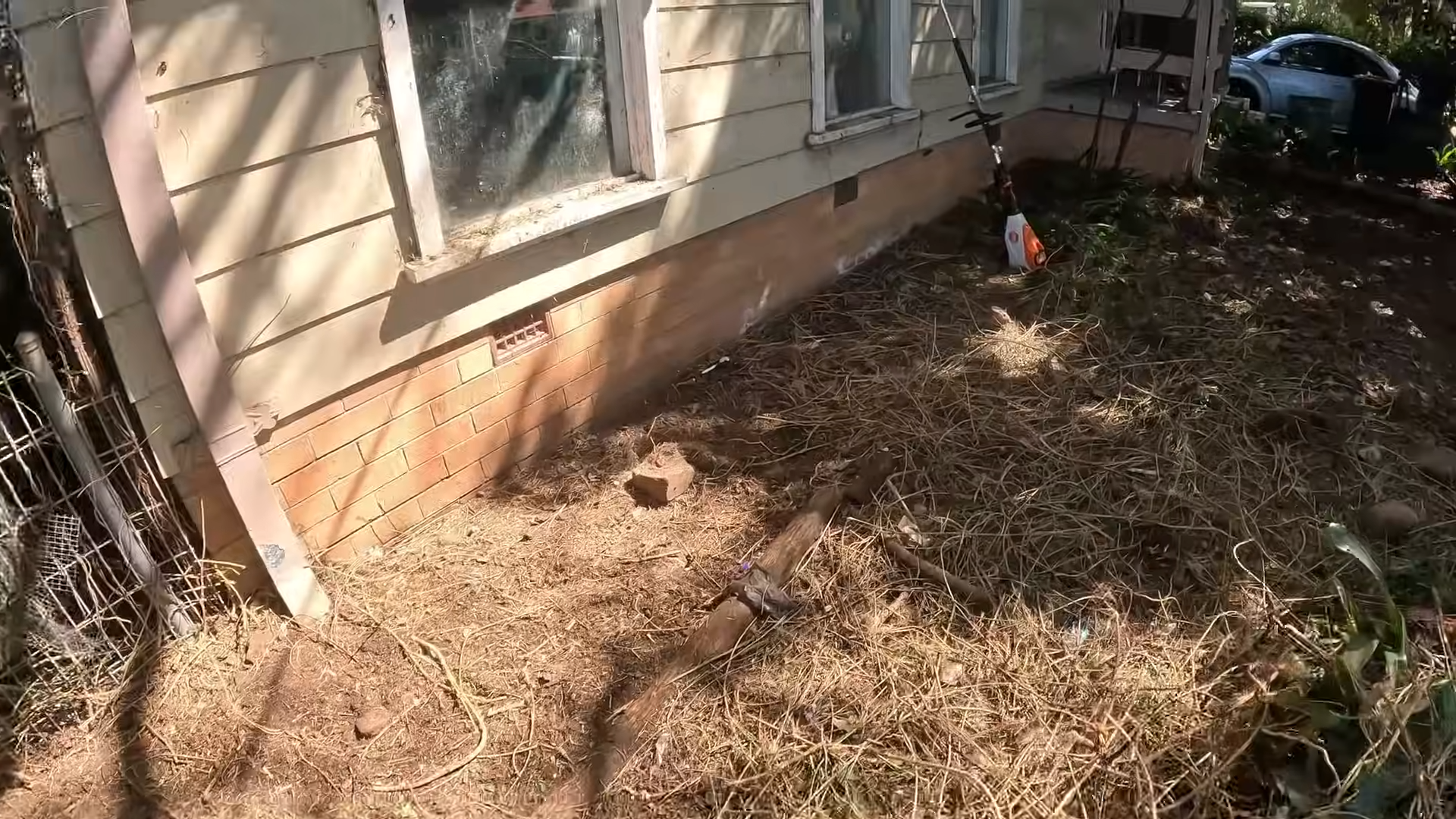 Voluntary yard cleanup transforms jungle-like front yard into a clean ...